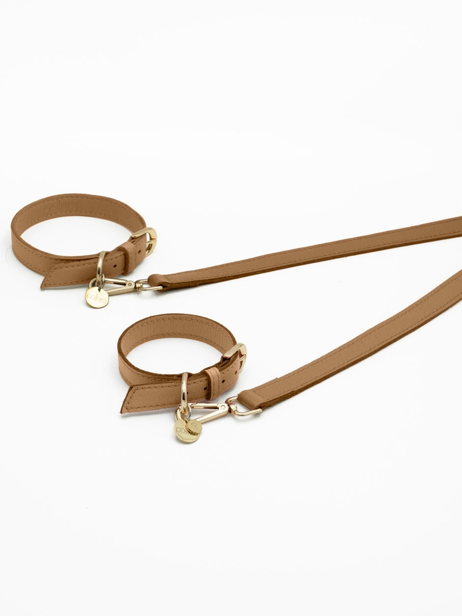 Latte – Collars Collective