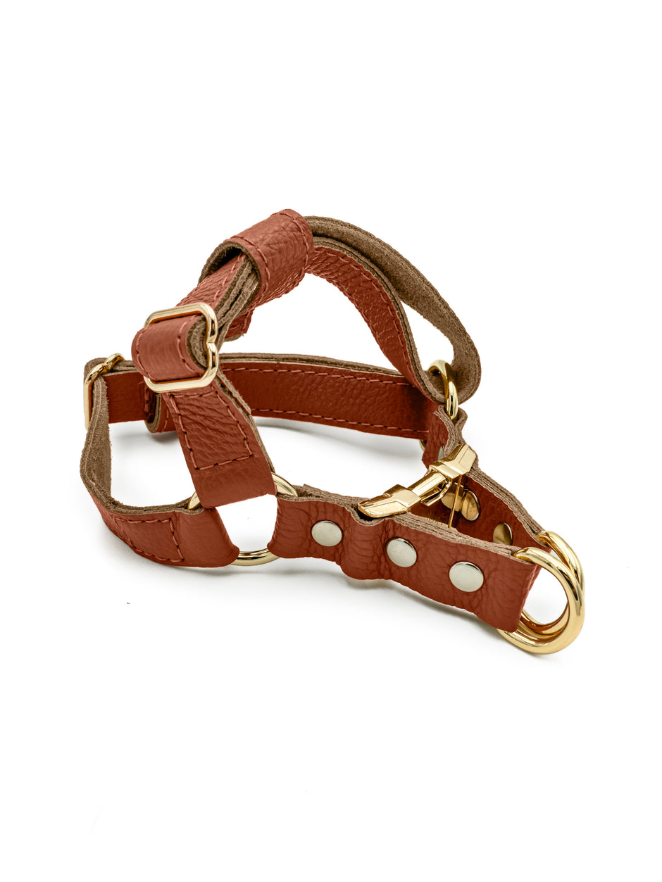Dubai Based Luxury Leather Dog Collars, Harnesses and Leash – Collars Collective