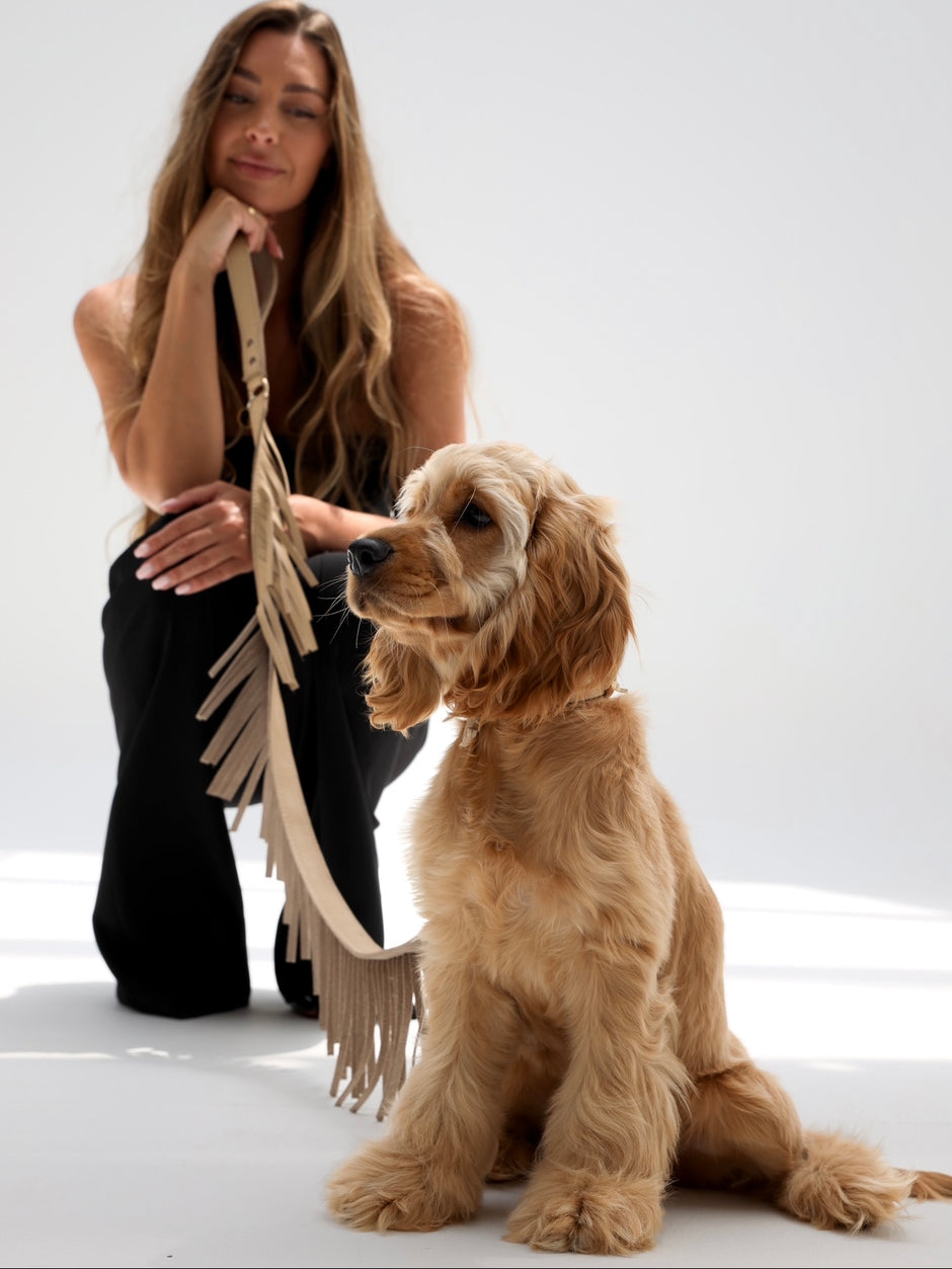 LEASH – Collars Collective