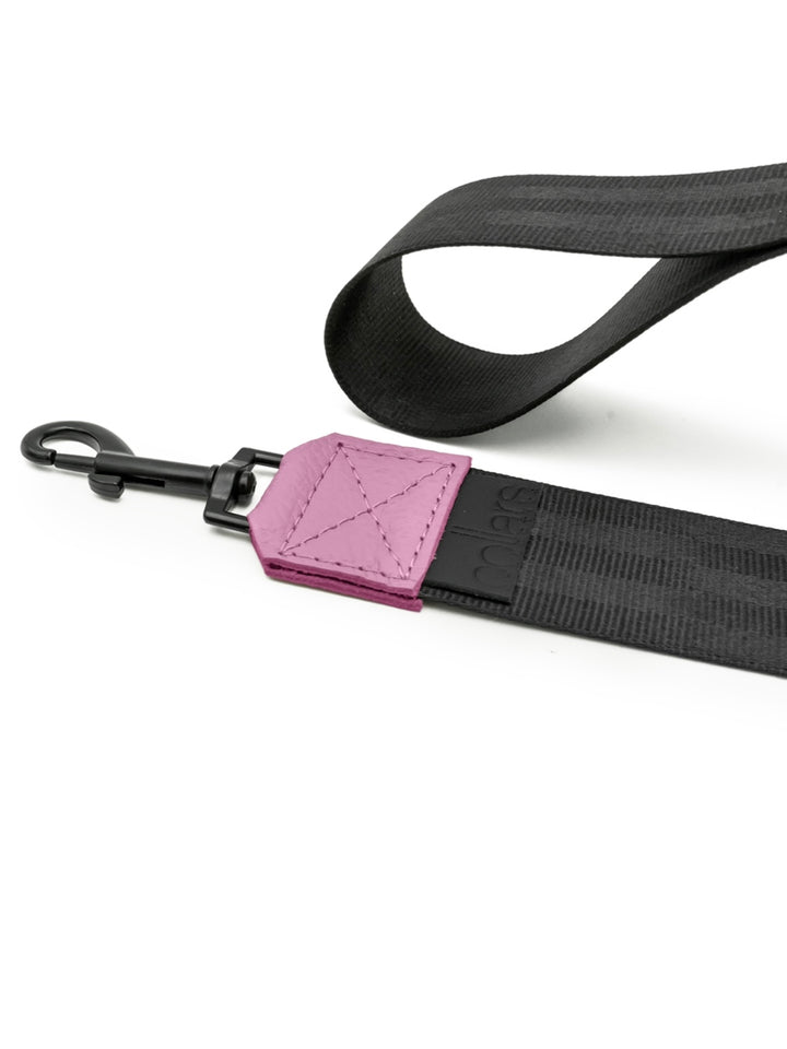 Candy – Collars Collective