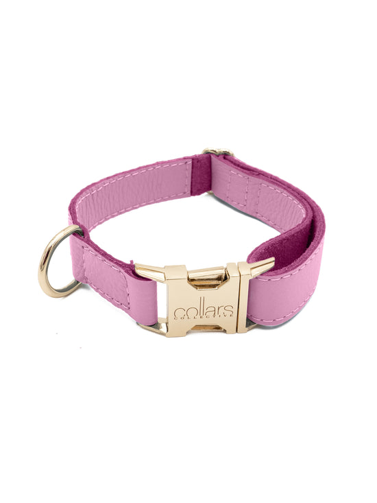 The Candy Original Collar – Collars Collective