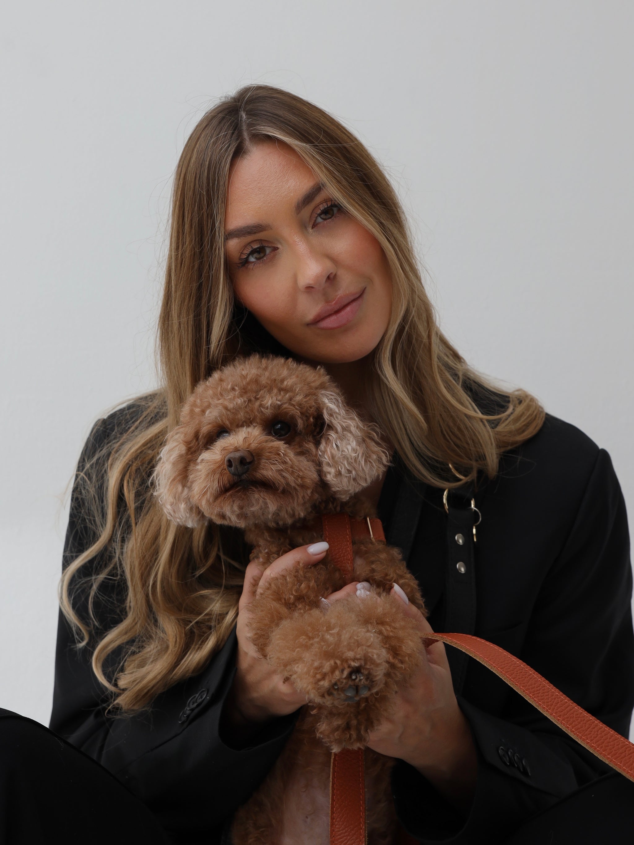 The Chilli Harness – Collars Collective