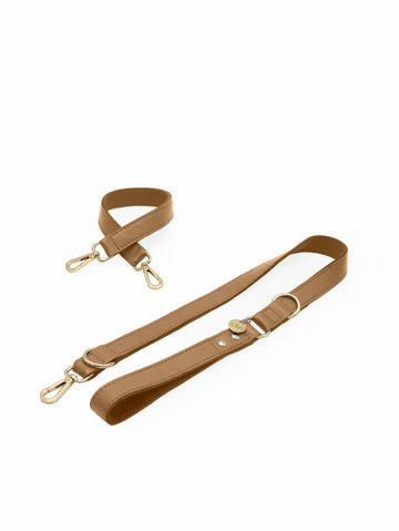 Latte – Collars Collective