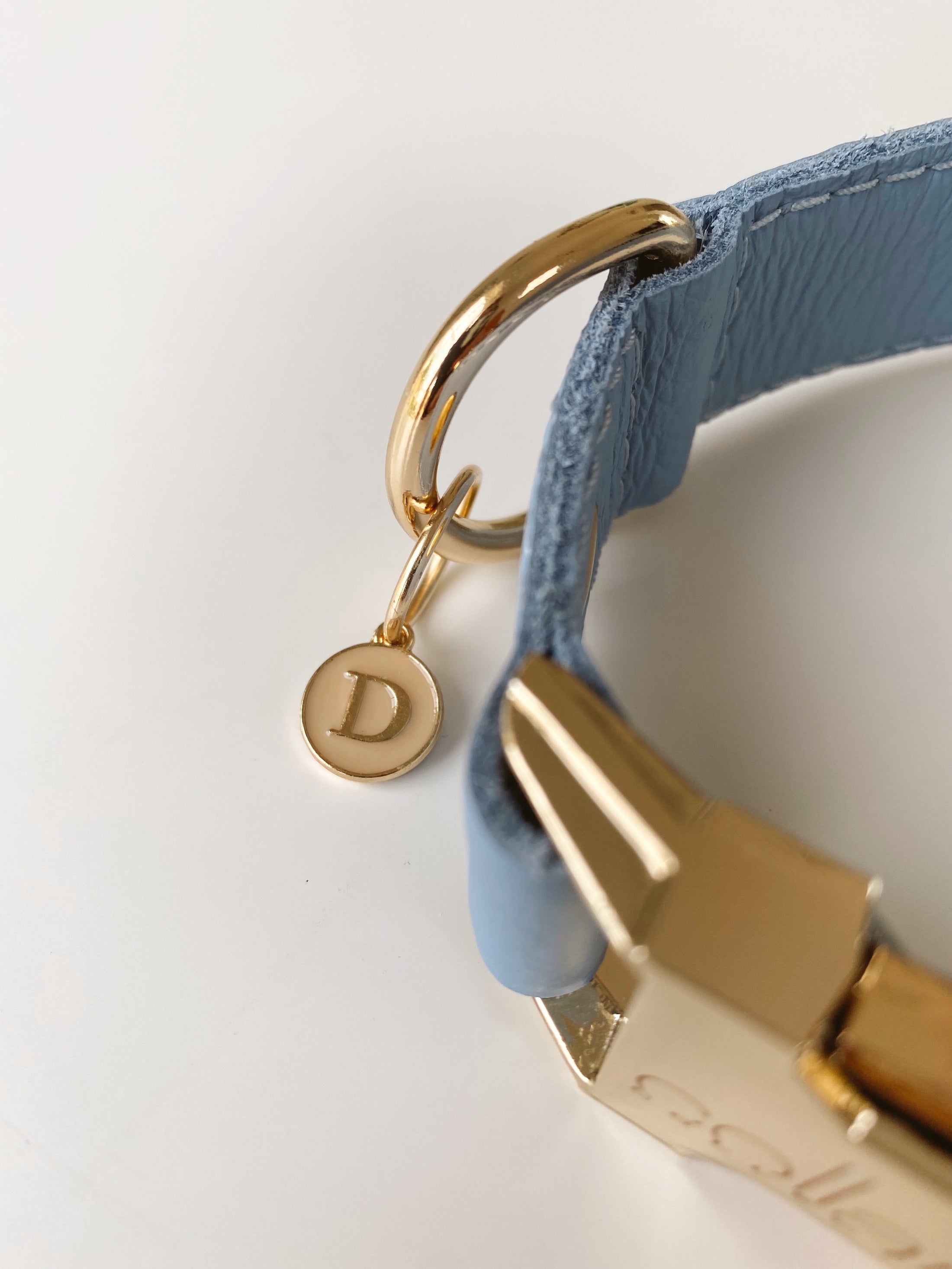Dubai Based Luxury Leather Dog Collars, Harnesses and Leash – Collars Collective